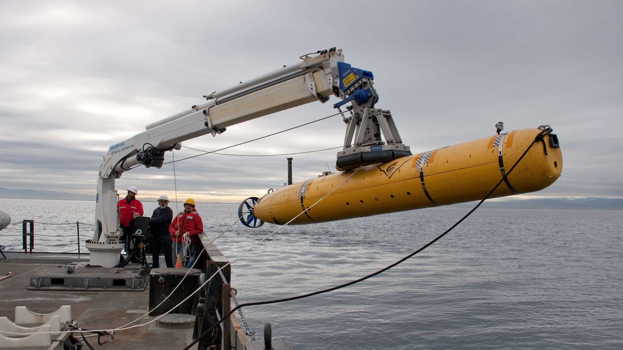 Shot in the Twilight | Stories | Monterey Bay Aquarium