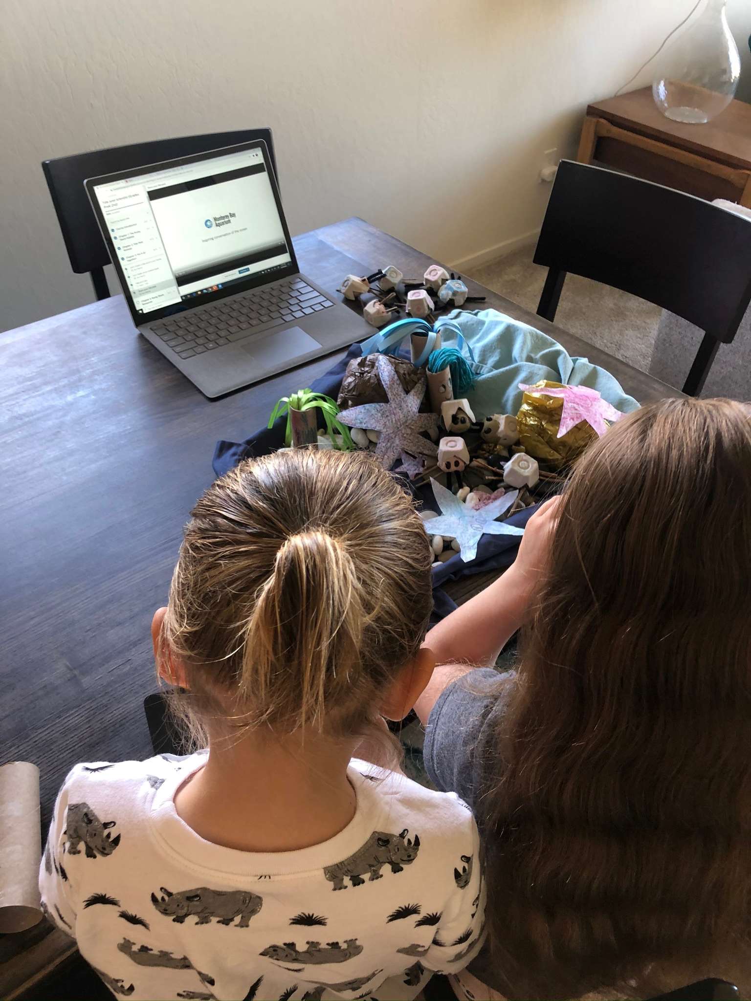 Education programs | Image gallery | Monterey Bay Aquarium