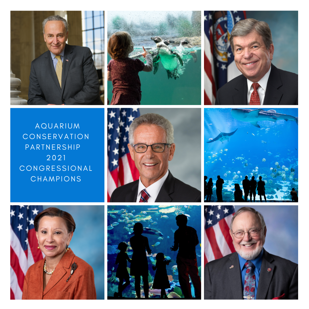 Aquarium Conservation Partnership honors members of Congress for ...
