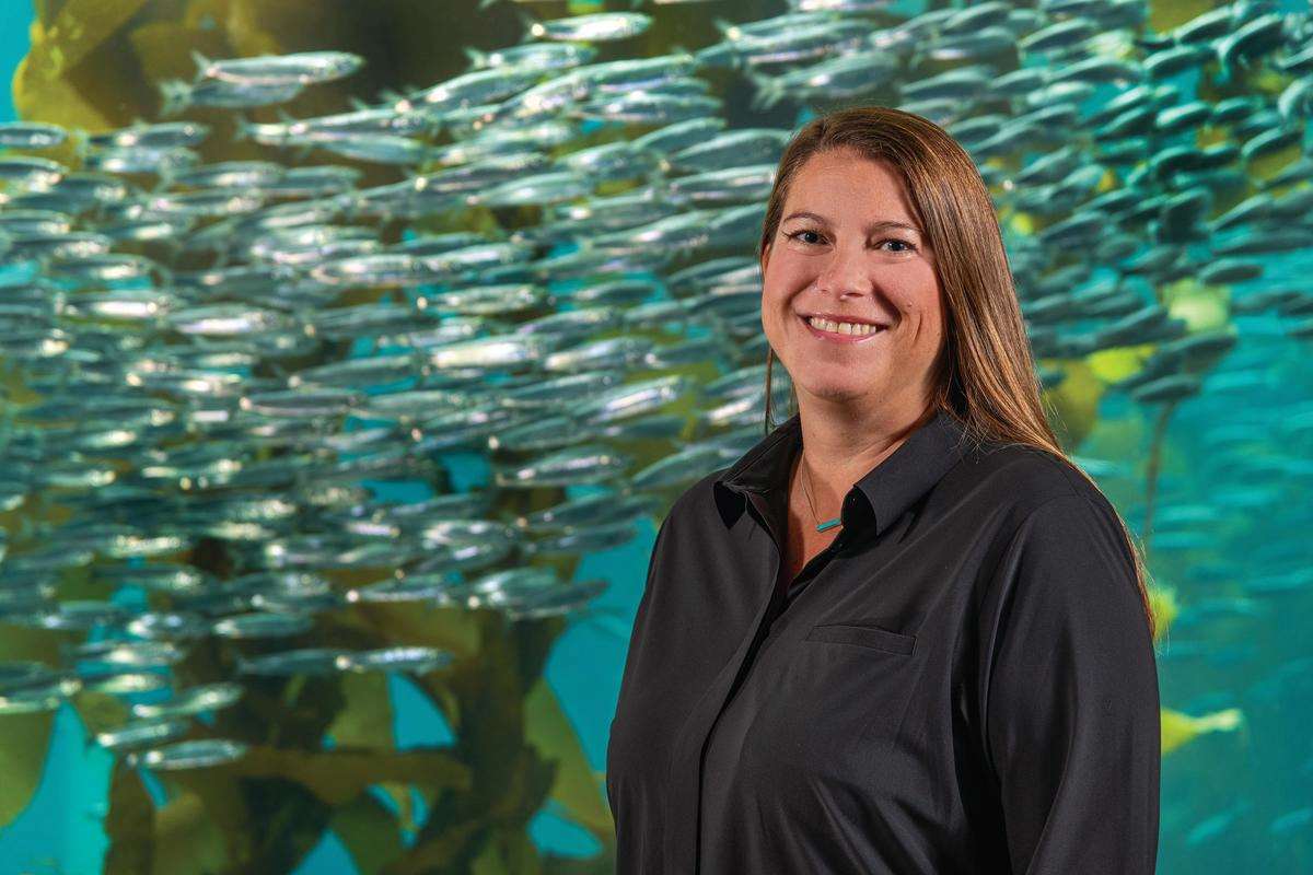 Staff Biographies | Newsroom | Monterey Bay Aquarium