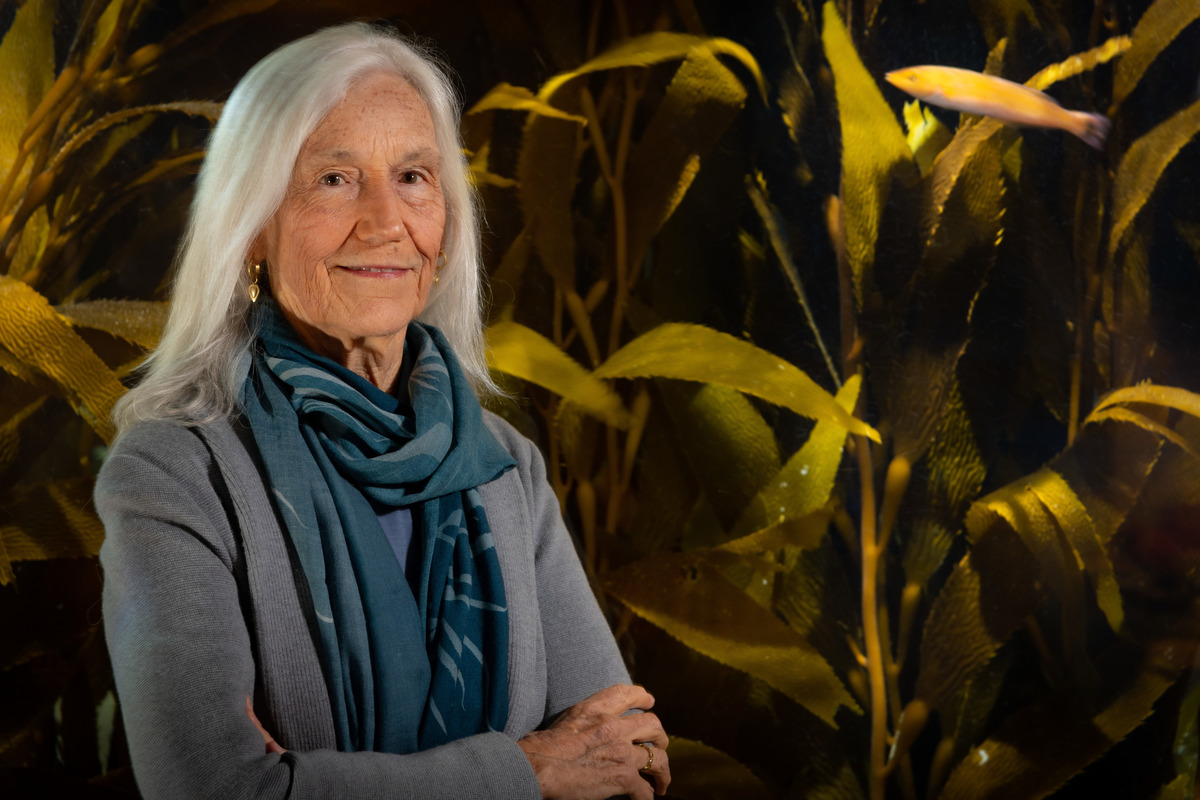 Founding Monterey Bay Aquarium Executive Director Julie Packard ...