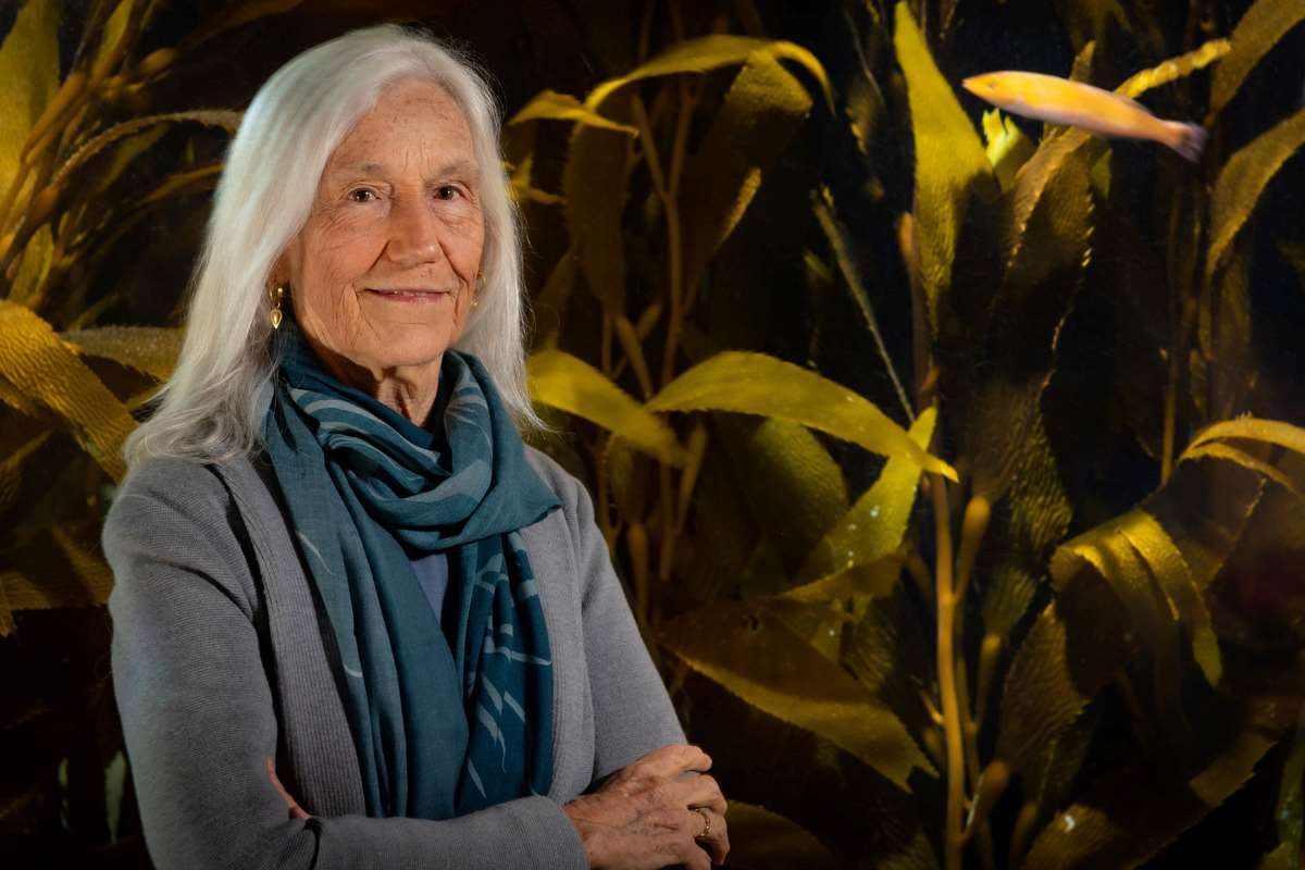 Staff Biographies | Newsroom | Monterey Bay Aquarium