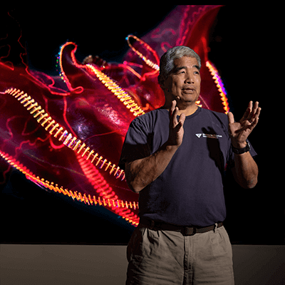 En las profundidades | En lo Profundo | Exhibición | Monterey Bay Aquarium