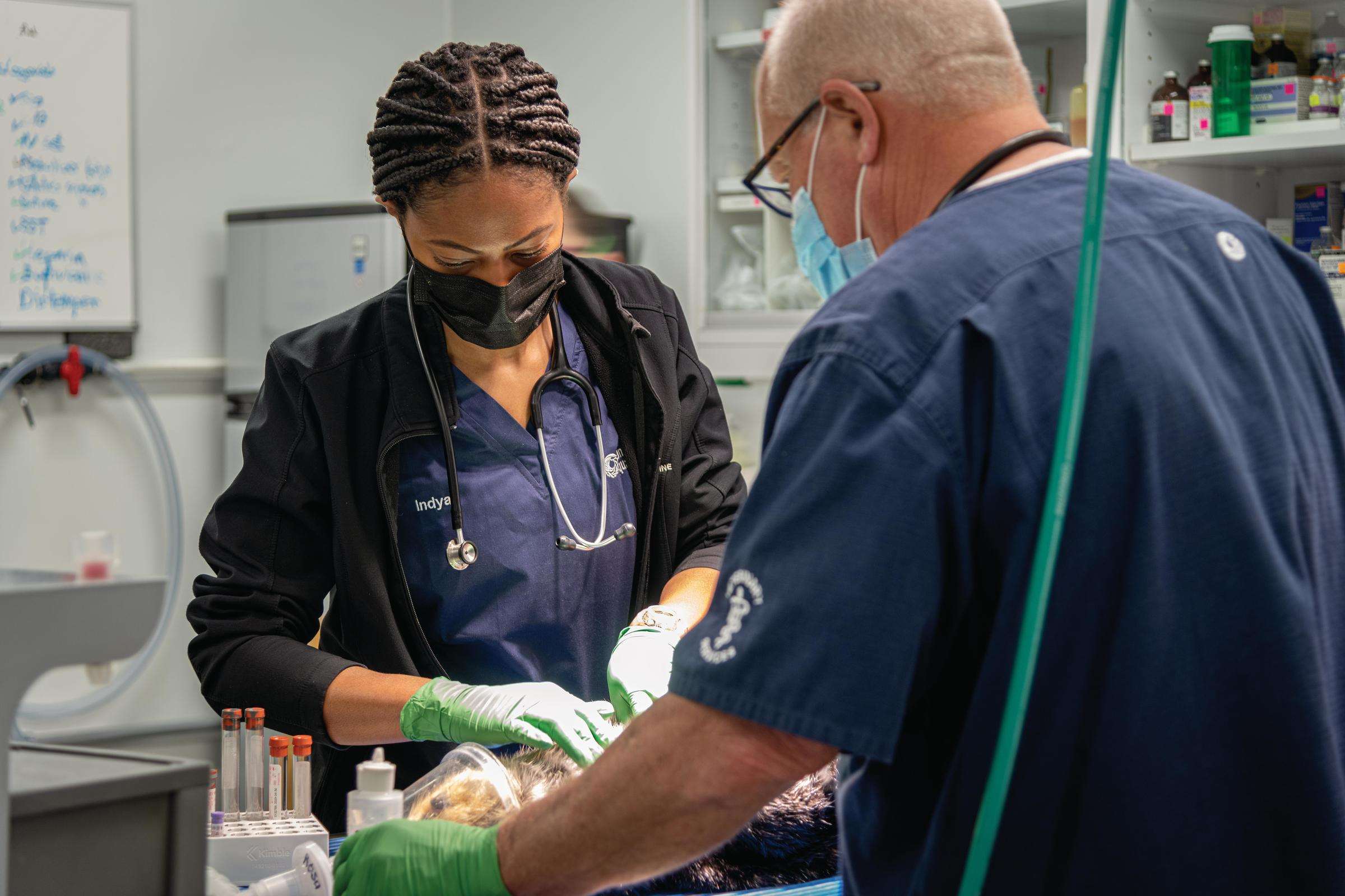 Meet Indya Woods, veterinary extern | Profiles | Monterey Bay Aquarium