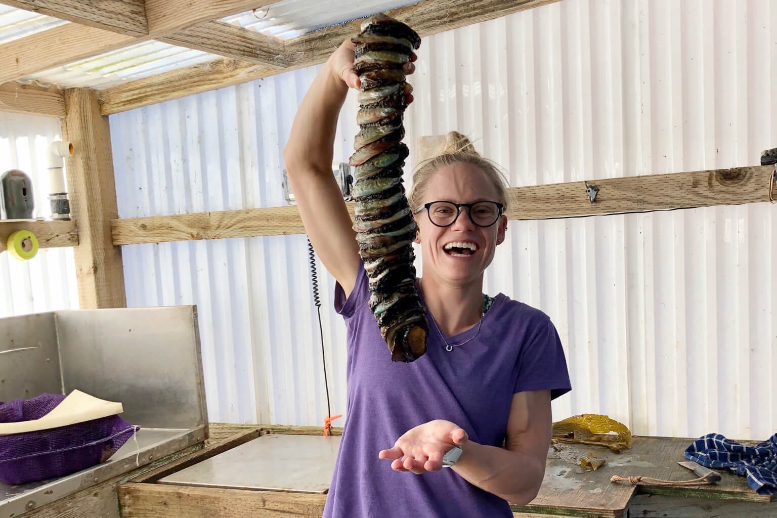 Untangling the mysteries of deep-sea food webs | Stories | Monterey Bay ...