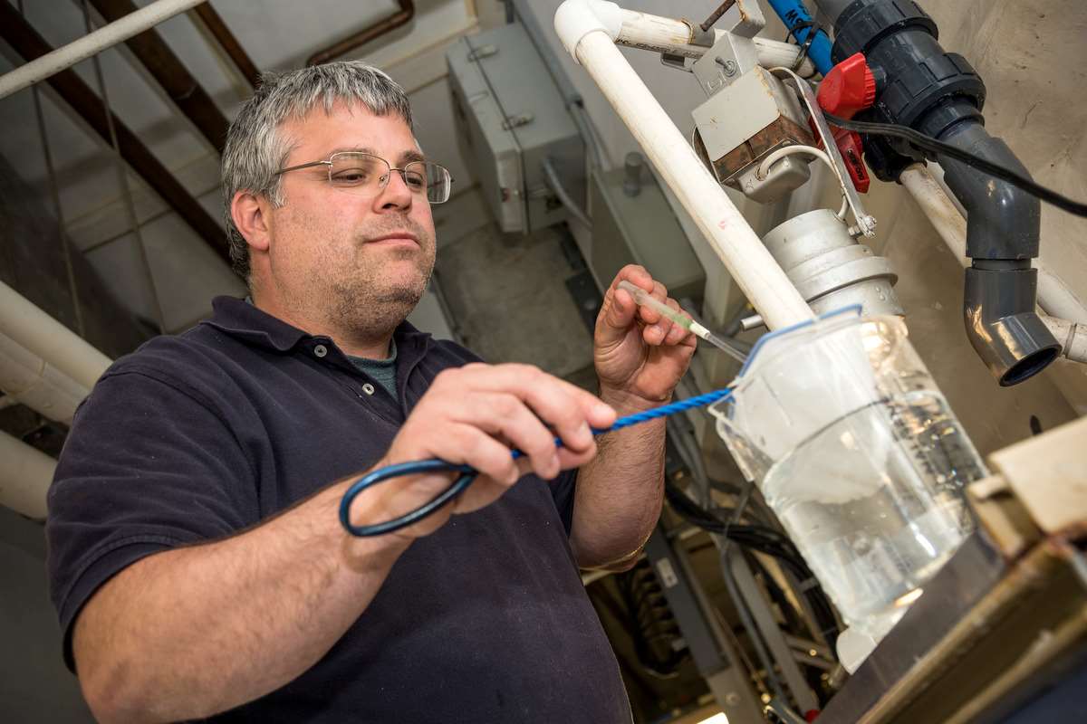 Growing jellies from the surface to the depths | Stories | Monterey Bay ...