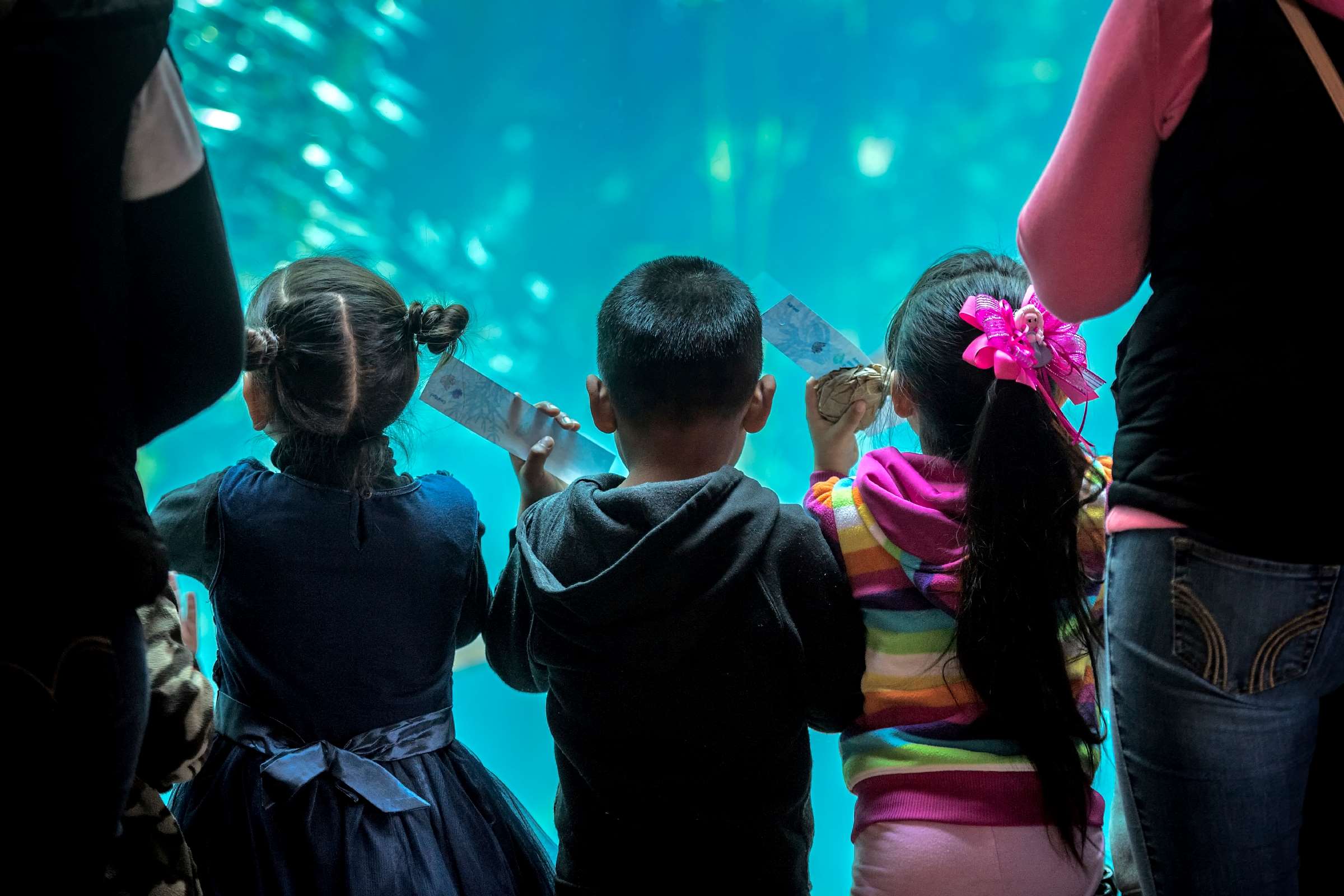 The day of your field trip | Plan your field trip | Monterey Bay Aquarium