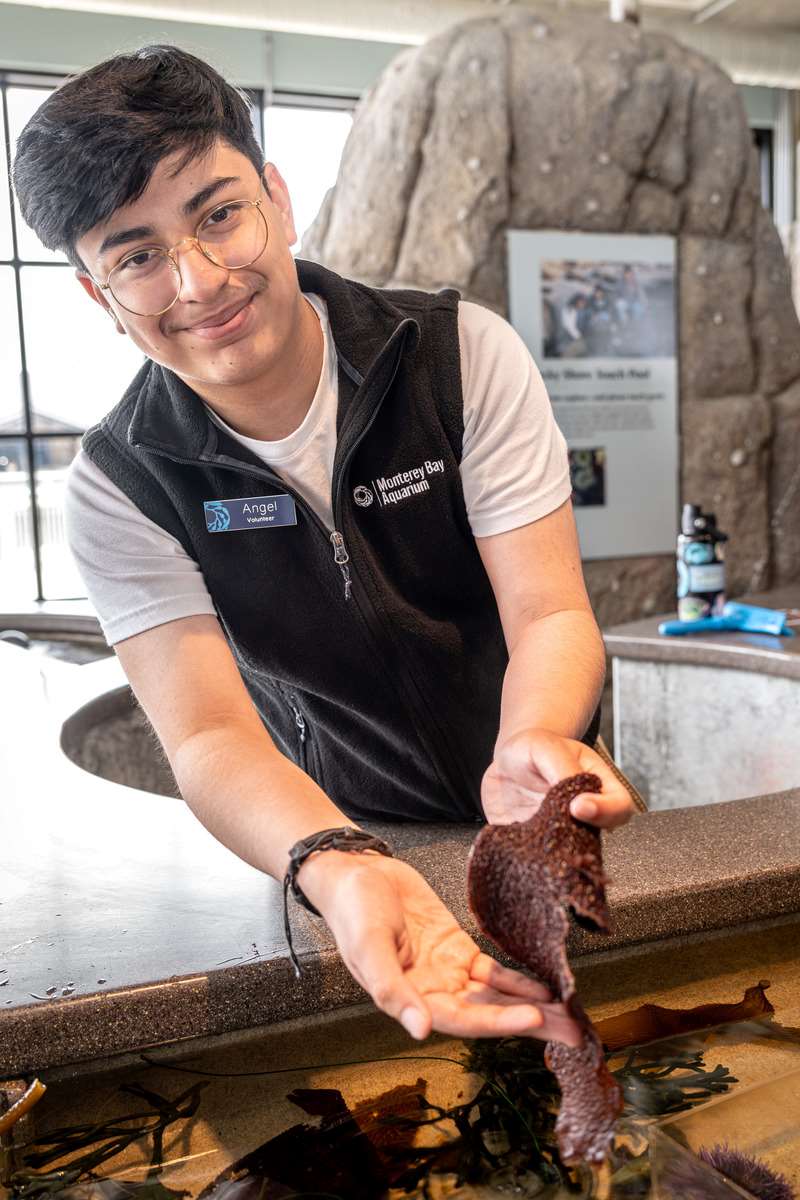 2025 Lucile S. Packard Award recipients | Stories | Monterey Bay Aquarium