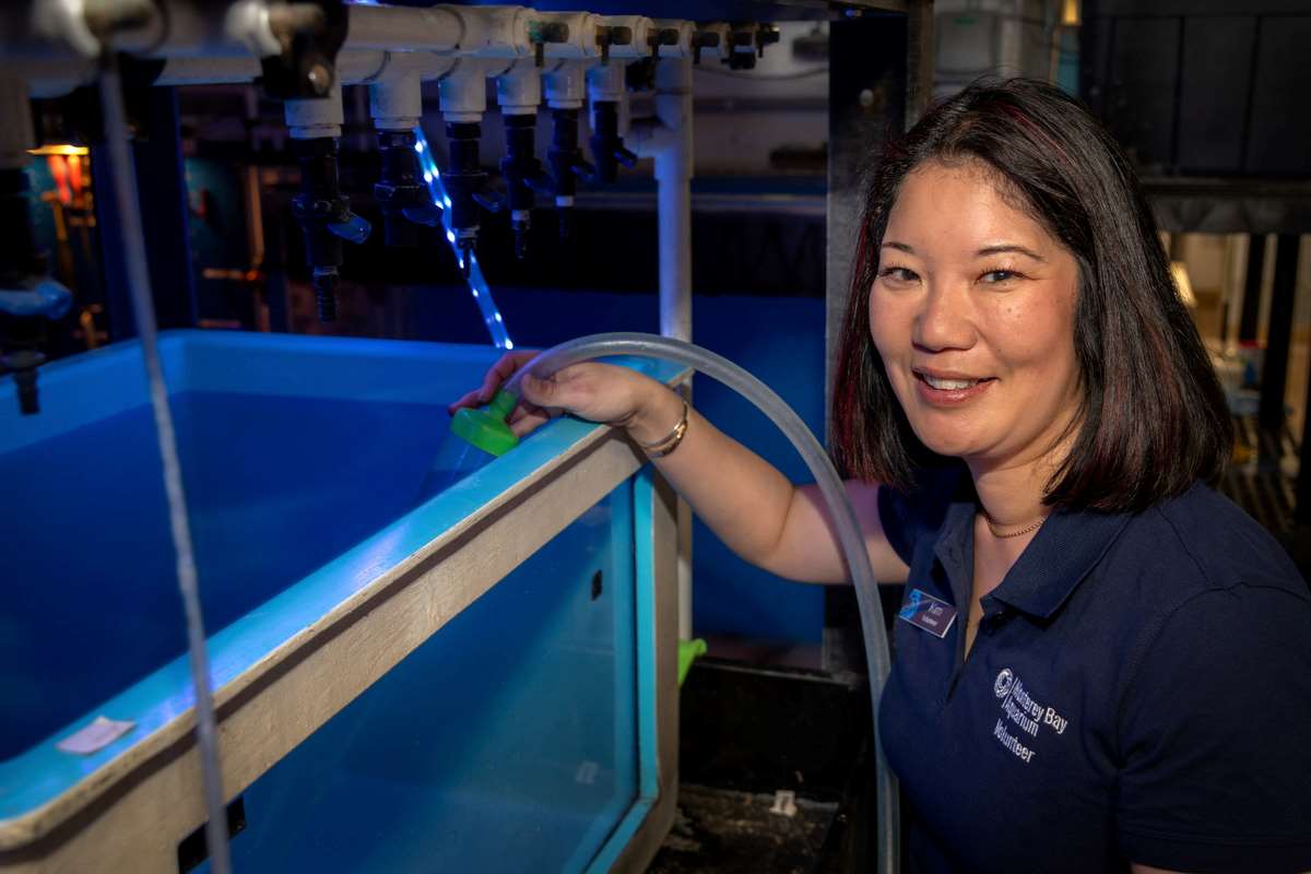2023 Lucile S. Packard Award recipients | Stories | Monterey Bay Aquarium