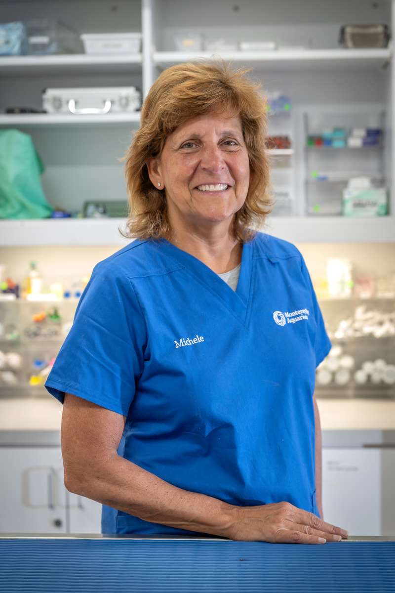 2025 Lucile S. Packard Award recipients | Stories | Monterey Bay Aquarium