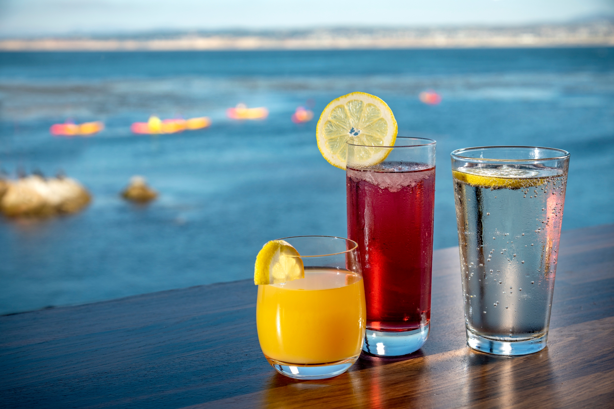 Meet Assemblymember Luz Rivas | Stories | Monterey Bay Aquarium