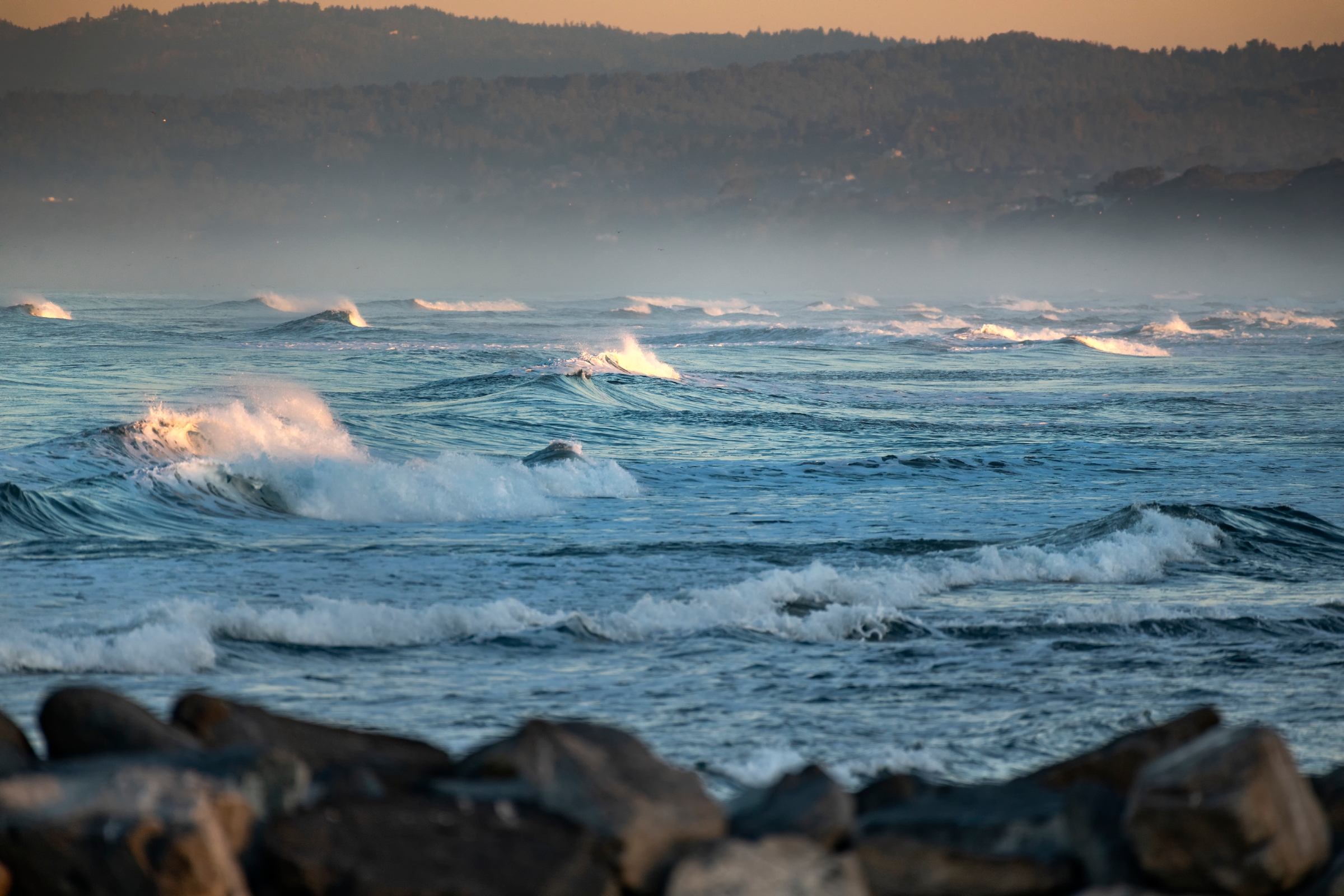 Honoring our 2018 California Ocean Champions | Stories | Monterey Bay ...