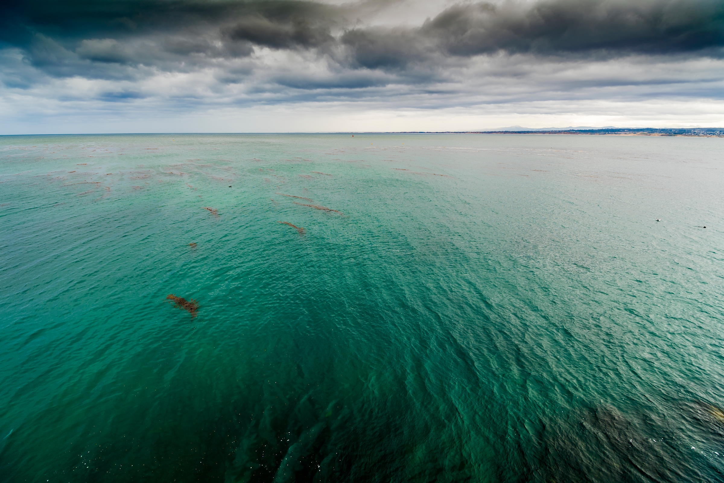 Centering the ocean in the climate conservation | Stories | Monterey ...