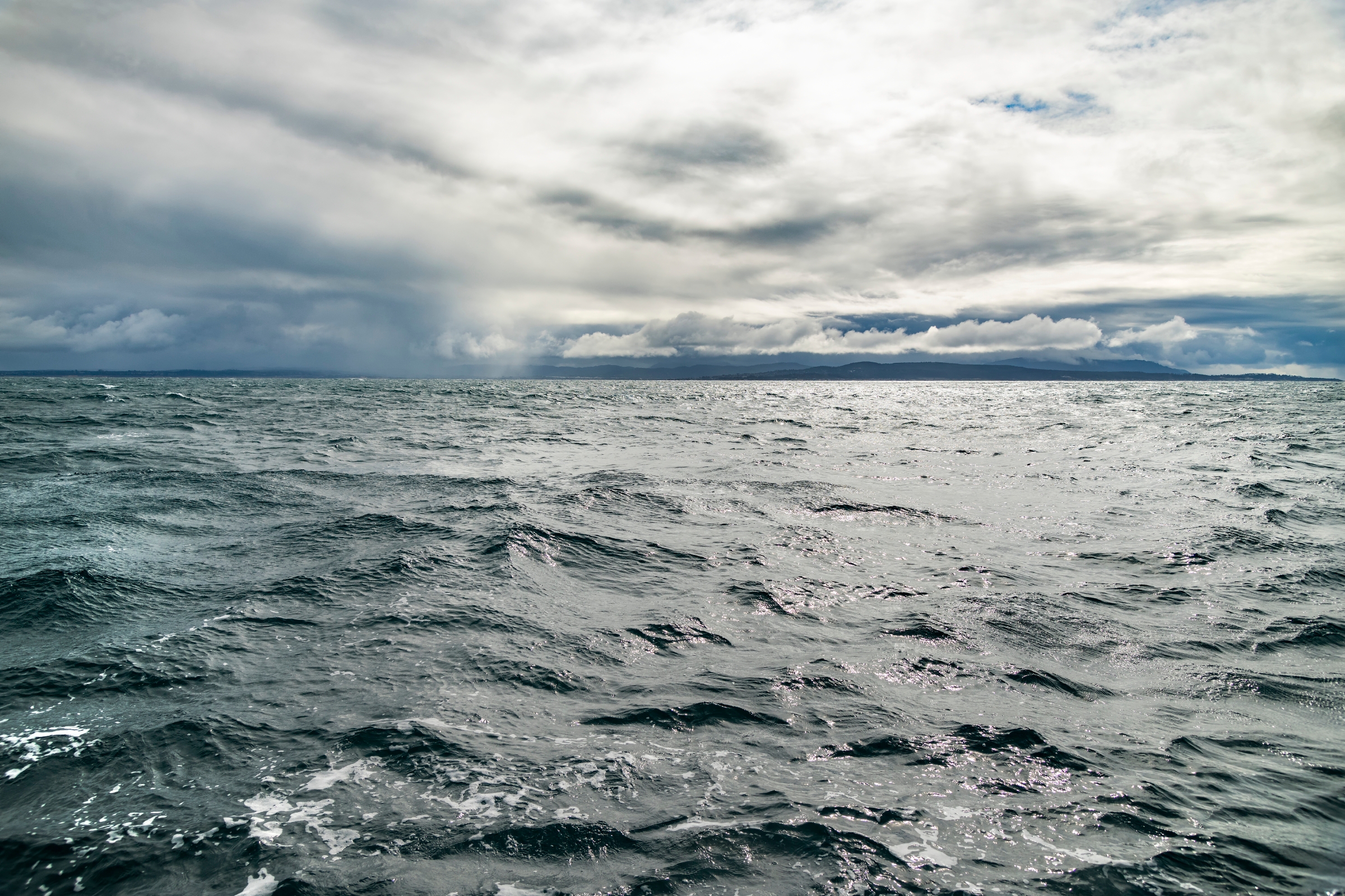 Taking action for the global ocean | Stories | Monterey Bay Aquarium