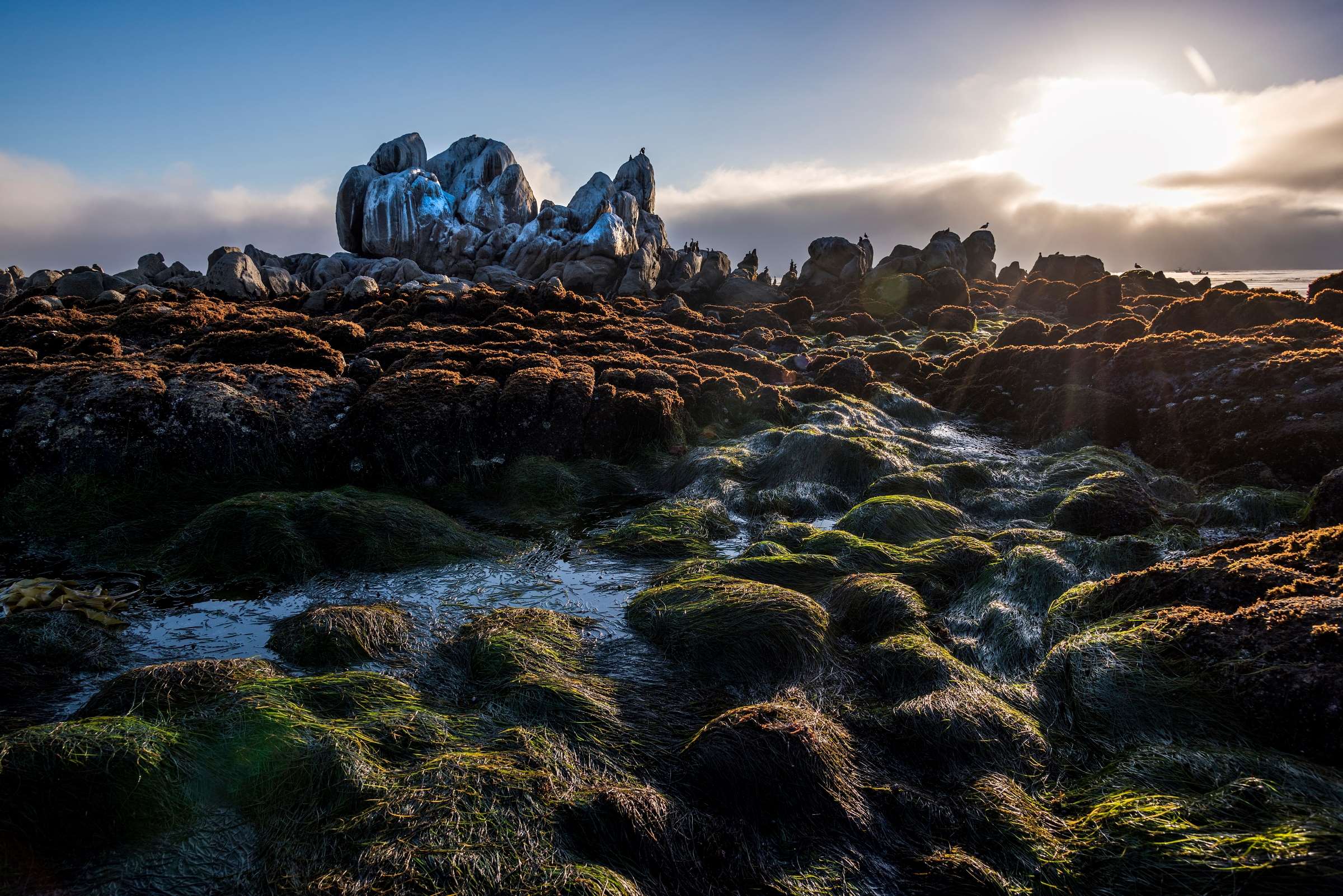 Monterey Bay National Marine Sanctuary | Monterey Bay Aquarium