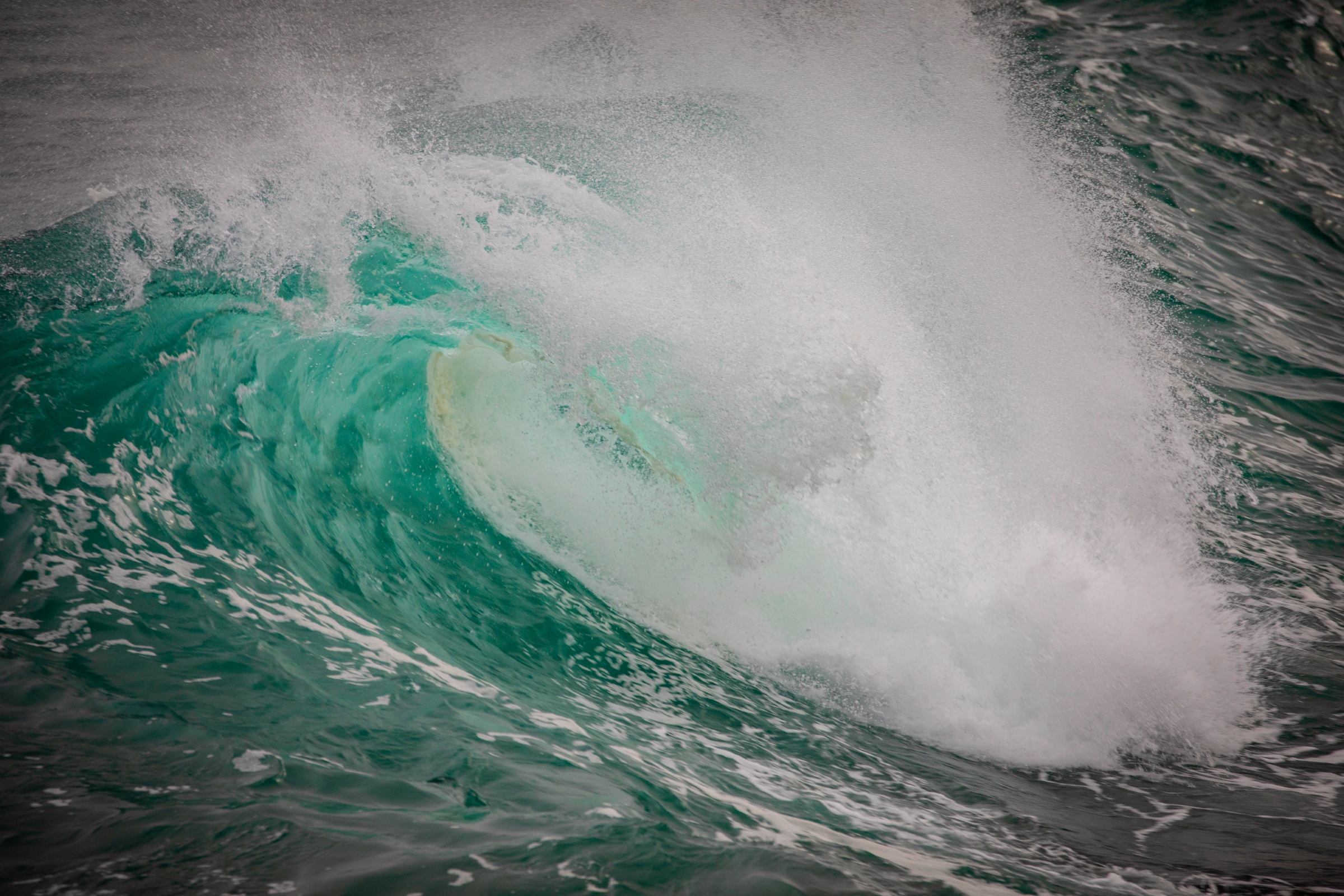Curriculum 9-12 | Biomagnification | Monterey Bay Aquarium