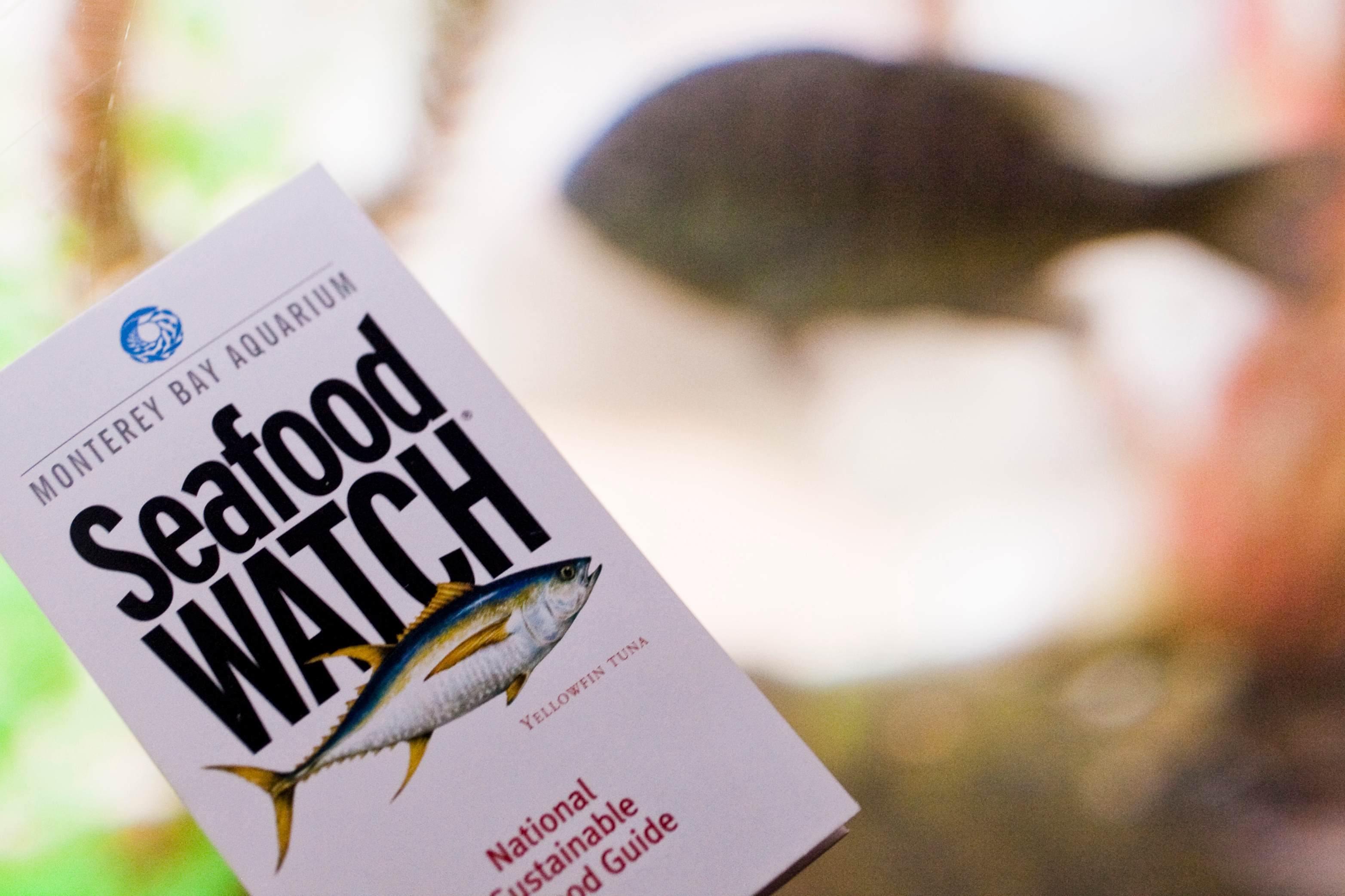 Twenty years of Seafood Watch | Stories | Monterey Bay Aquarium