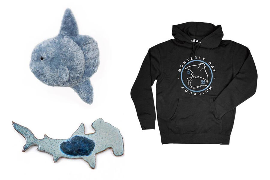 Open Sea | Exhibit | Monterey Bay Aquarium