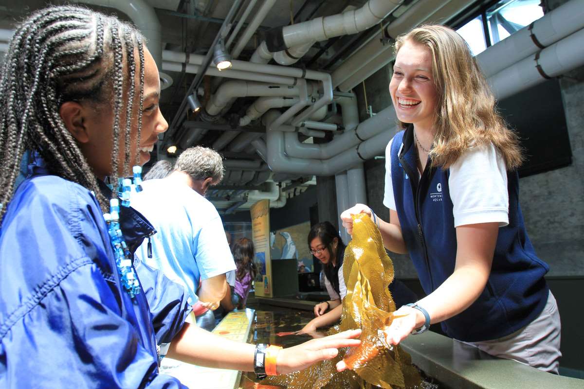 From teens to tomorrow's leaders | Stories | Monterey Bay Aquarium