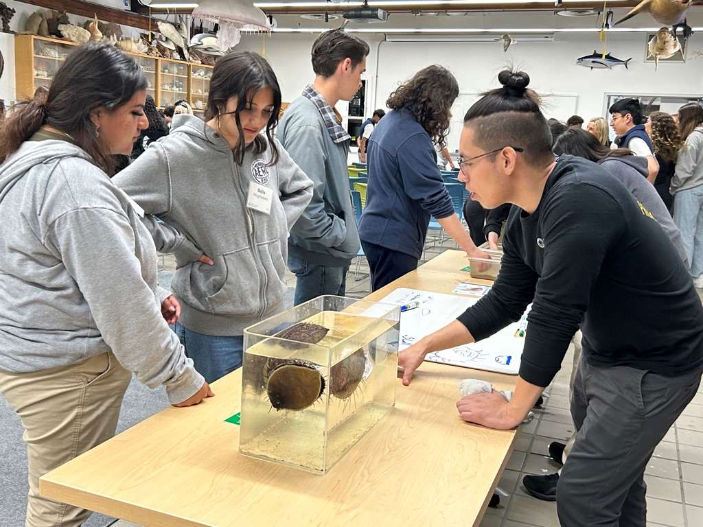 From teens to tomorrow's leaders | Stories | Monterey Bay Aquarium