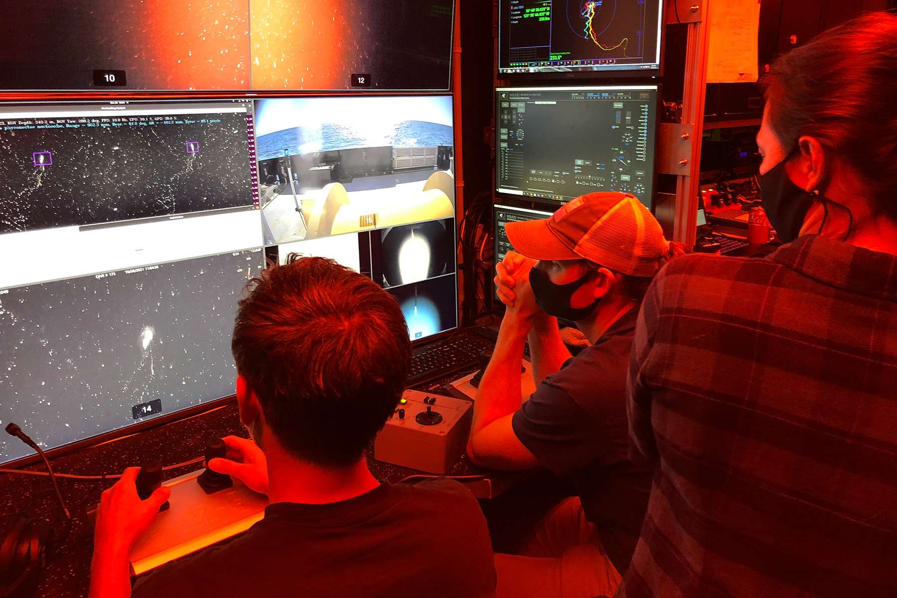 Into the FathomVerse | Stories | Monterey Bay Aquarium