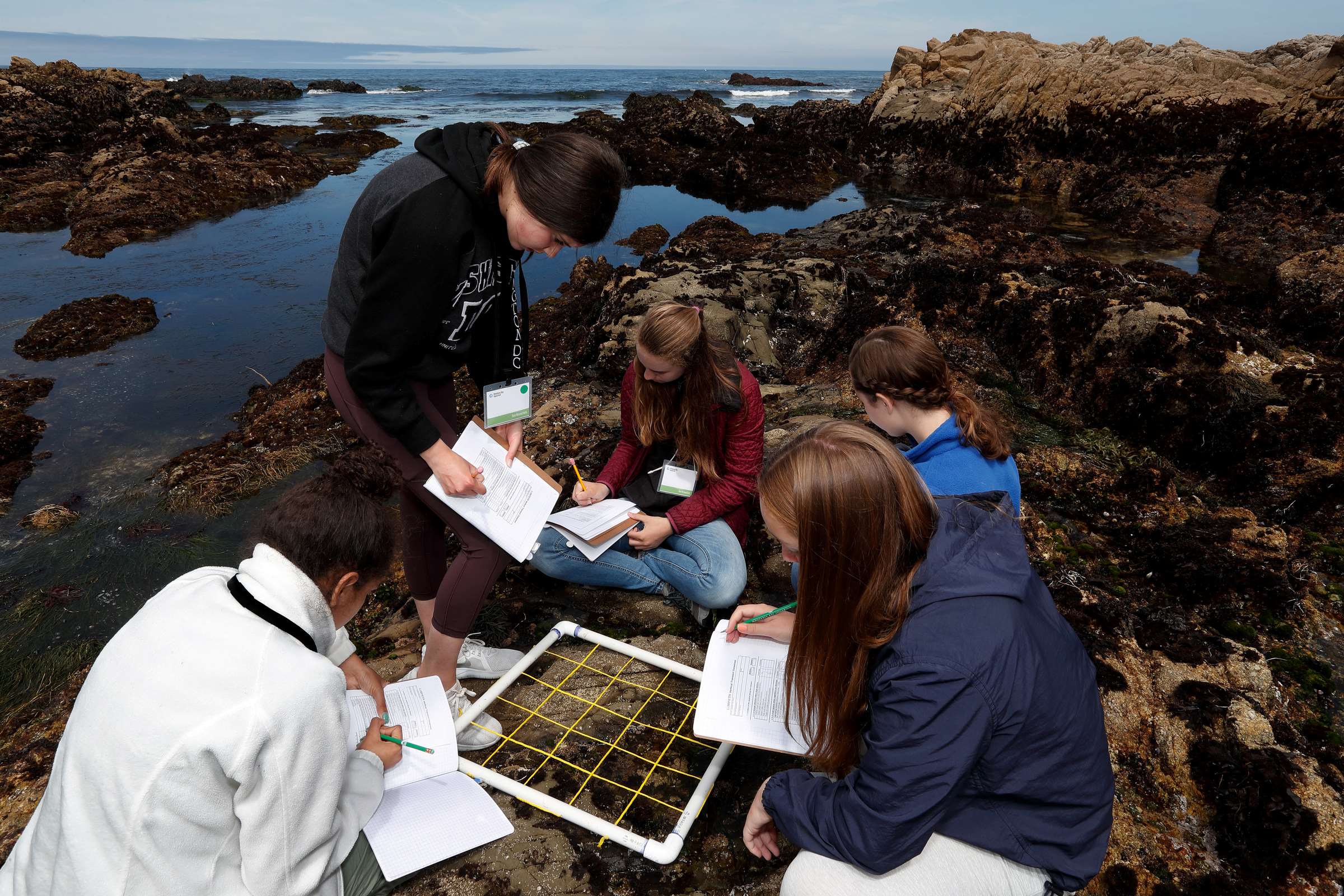 Become a volunteer | Join & give | Monterey Bay Aquarium