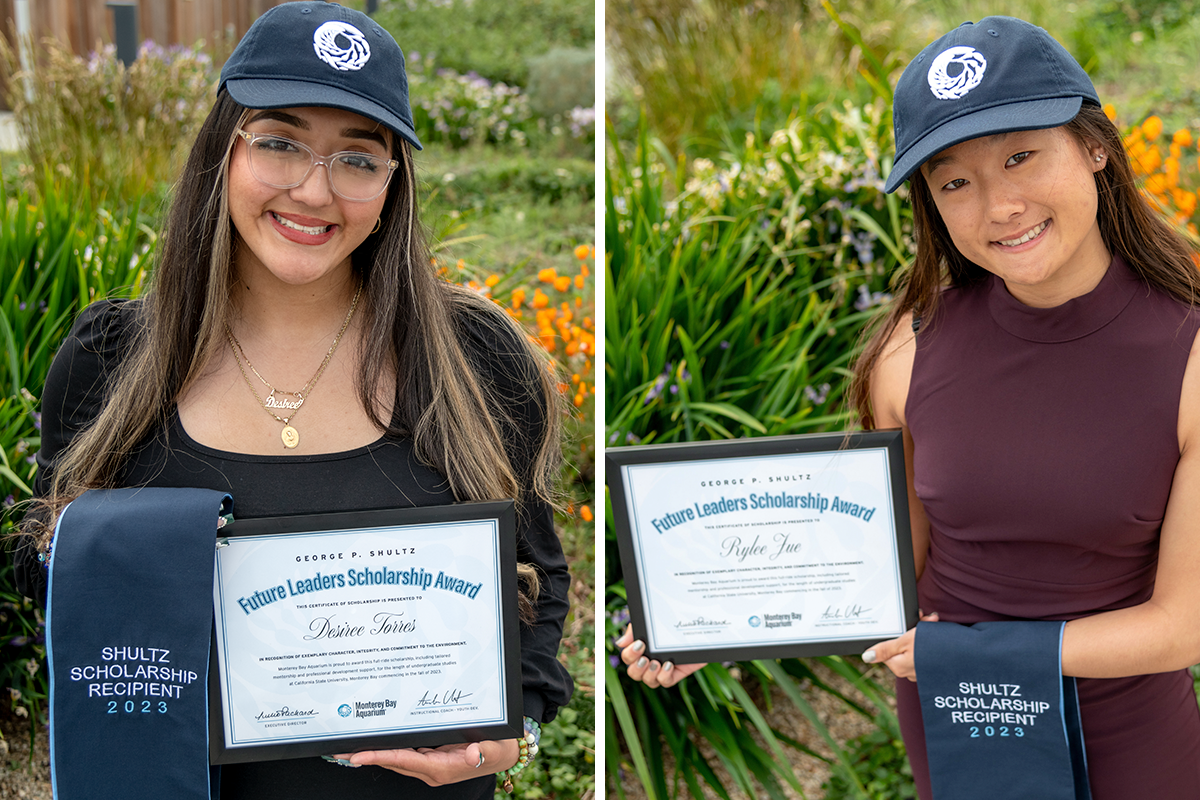 George P. Shultz Scholarship | Stories | Monterey Bay Aquarium