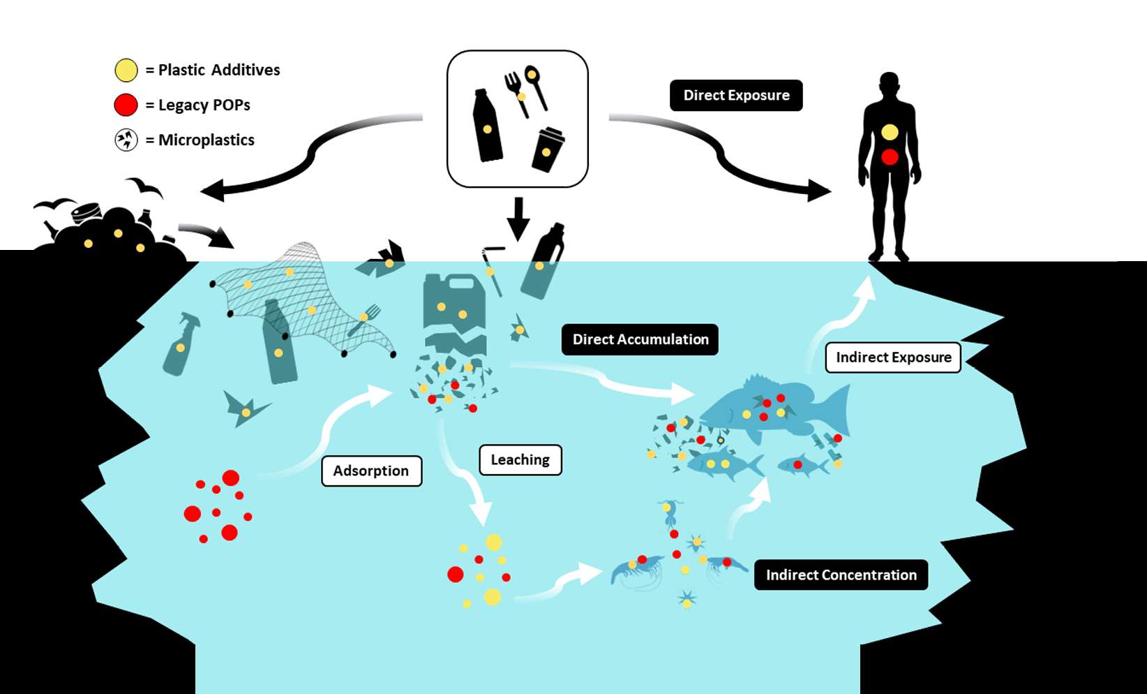 The inequity of plastic pollution | Stories | Monterey Bay Aquarium