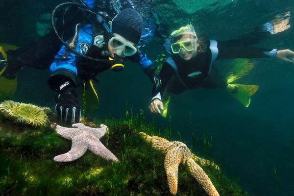 50,000 kids inspired by the ocean with Underwater Explorers | Stories ...