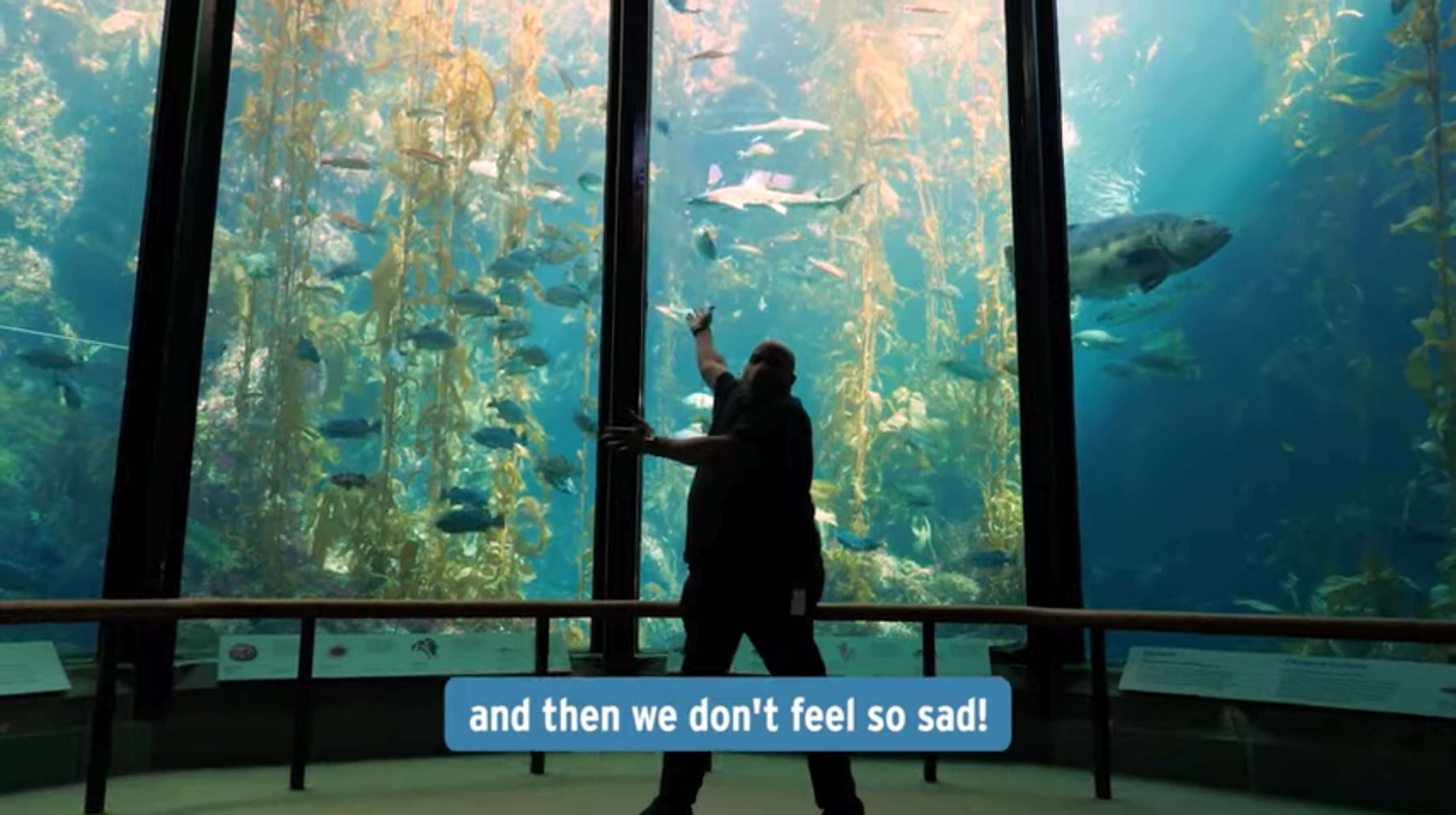 Our gills are alive with the sound of music! | Stories | Monterey Bay ...