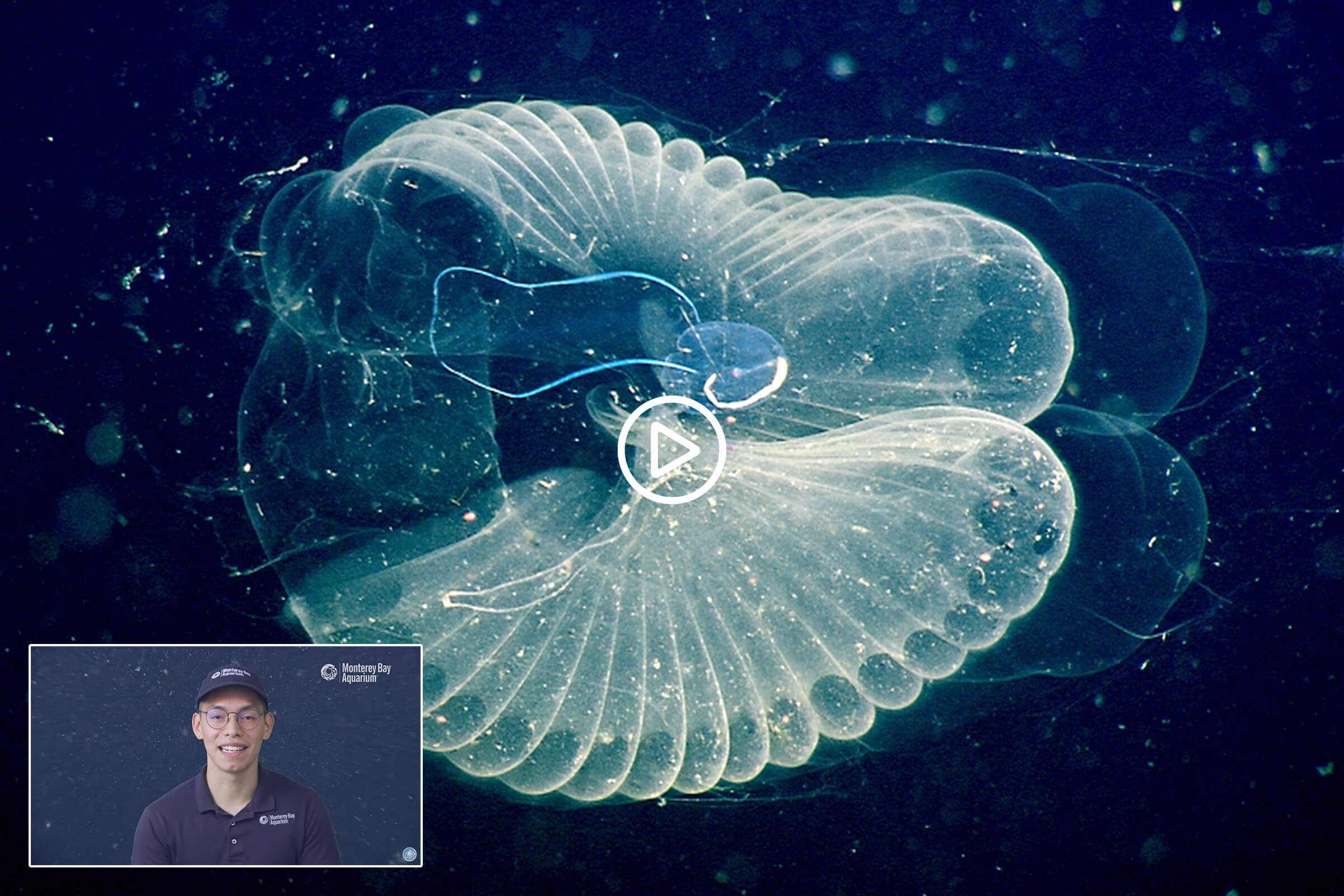 Sumérgete en lo Profundo | Lección en video