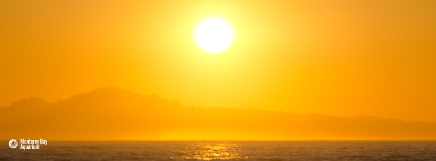 Facebook Cover Photos Sunrise