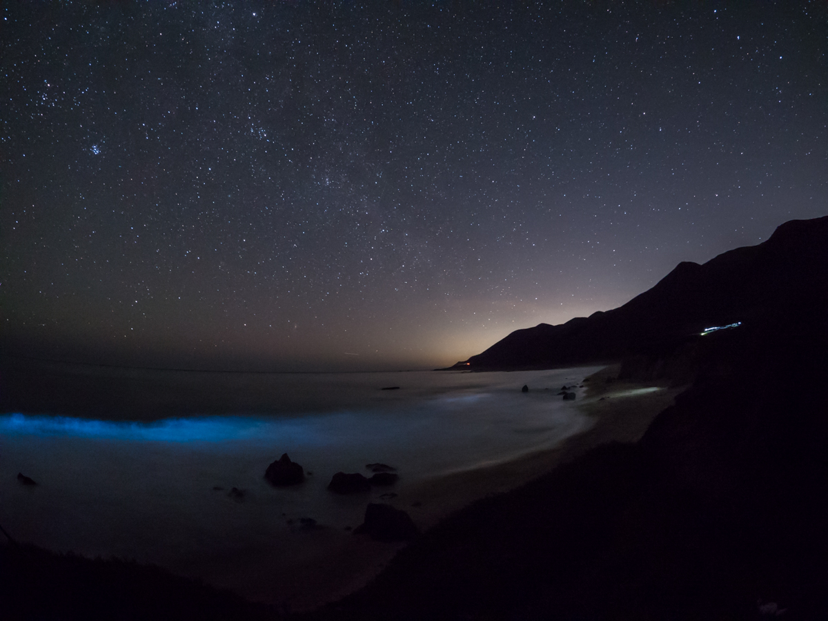 Illuminating the facts of deep-sea bioluminescence | Stories | Monterey ...