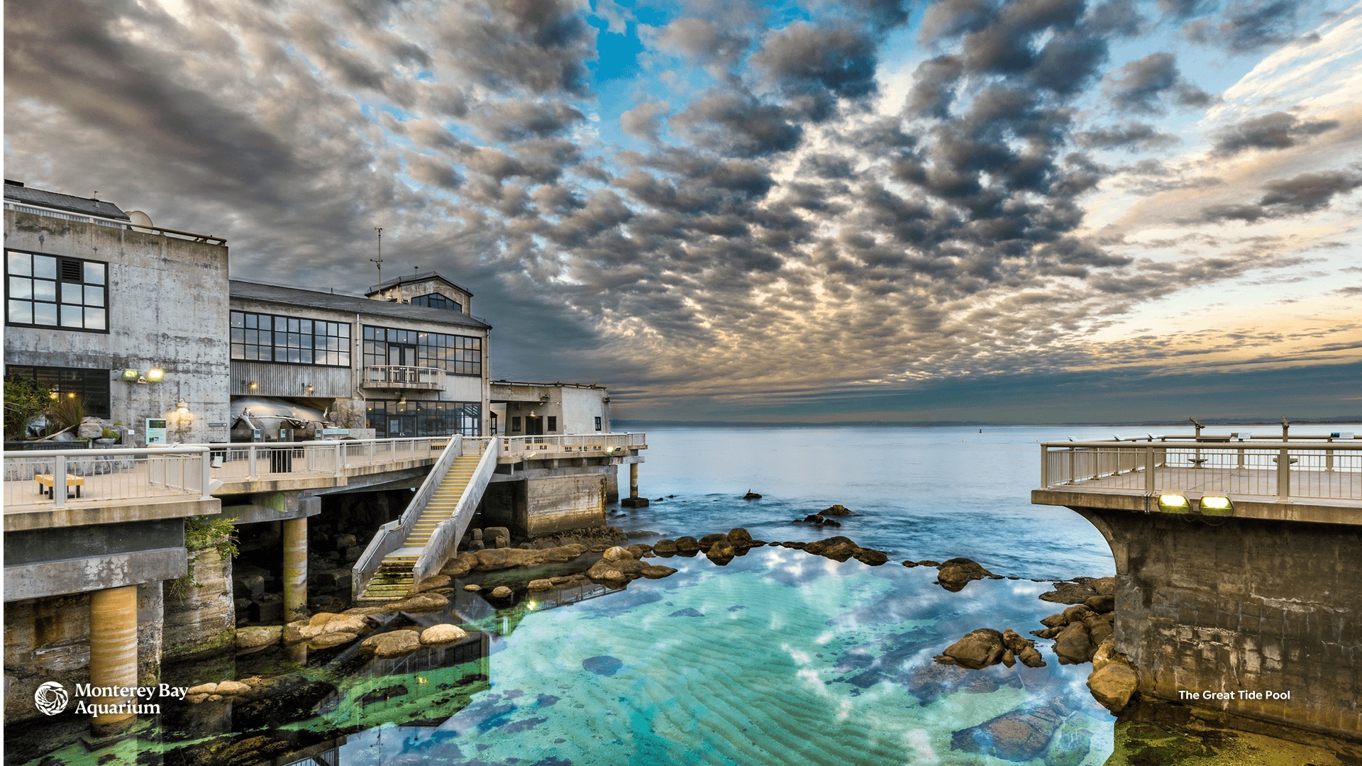 Great Tide Pool wallpaper from the Monterey Bay Aquarium