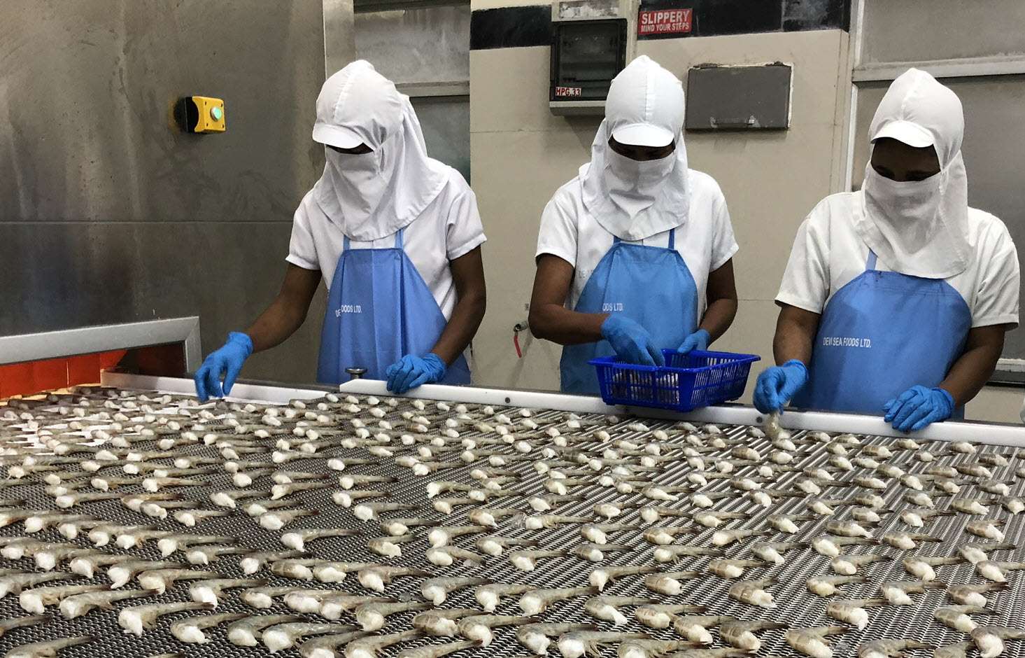 Supporting shrimp farm sustainability | Stories | Monterey Bay Aquarium