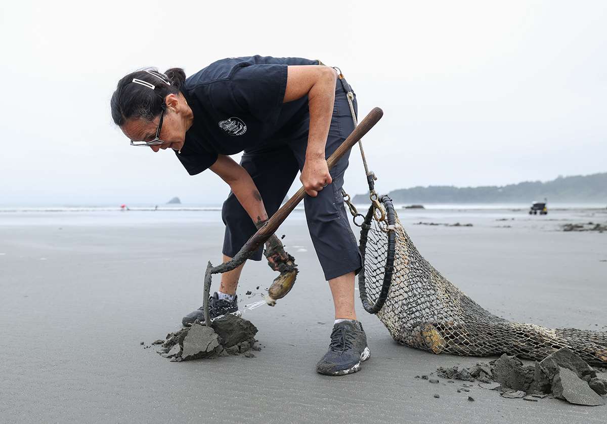 Quinault Indian Nation razor clam harvest| Stories | Seafood Watch